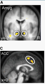 Index of /uploaded_images/